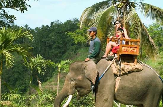 Bali Elephant Ride - Mahas Bali Tour