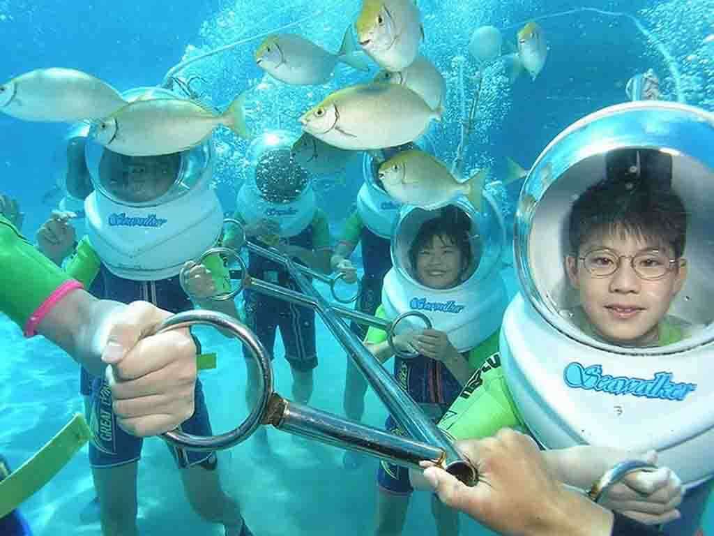 Bali Seawalker Tour - Bali Great Holiday